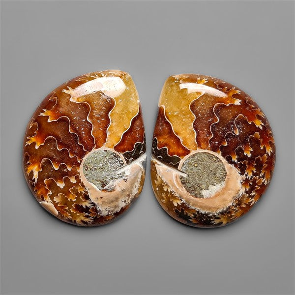 Ammonite | Ammonite Fossil Pair with Suture Pattern (29X23X5 mm ...