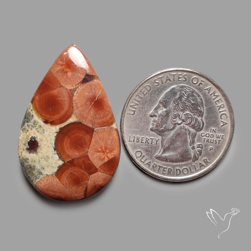 Obsidian | Peanut Wood Obsidian Cabochon (32X21X6 mm) | Gemstones For Sale