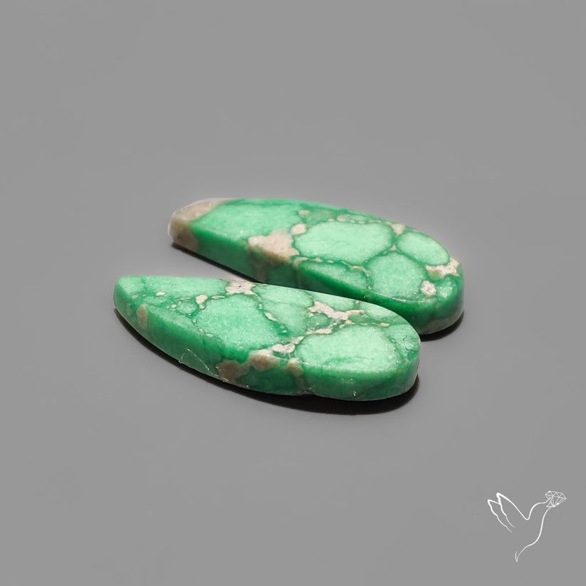 Variscite | Lucin Variscites Pair (21X8X3 mm) | Gemstones For Sale