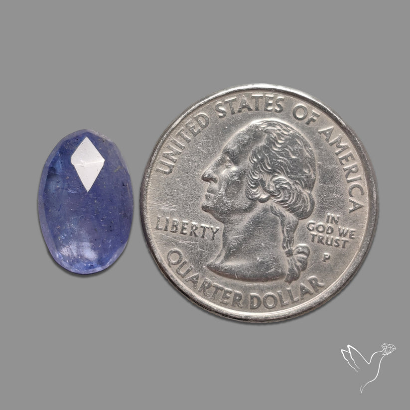 Tanzanite | Rose Cut Tanzanite (14X9X4 mm) | Gemstones For Sale