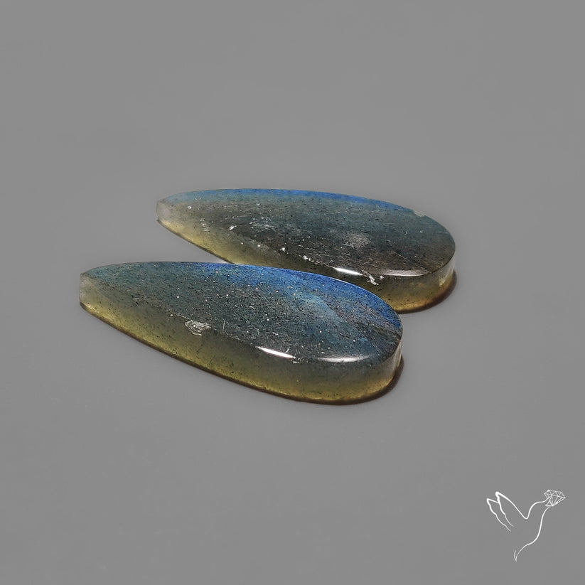 Labradorite | Clear Blue Labradorite Pair (28X13X4 mm) | Gemstones For Sale