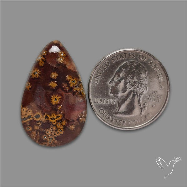 Seam Agate | Moroccan Seam Agate Cabochon with Unique Orbicular Pattern ...
