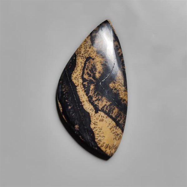 Sagebrush Jasper | Sagebrush Jasper Cabochon (29X15X4 mm) | Gemstones ...