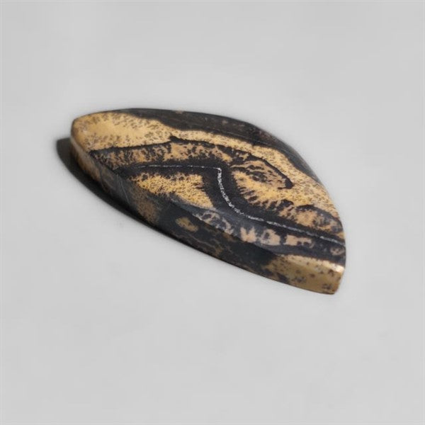 Sagebrush Jasper | Sagebrush Jasper Cabochon (29X15X4 mm) | Gemstones ...