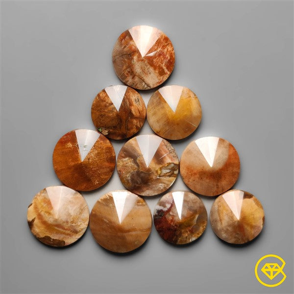 Petrified Wood | Radial Cut Petrified Wood Arizona Lot (14 - 12 mm ...