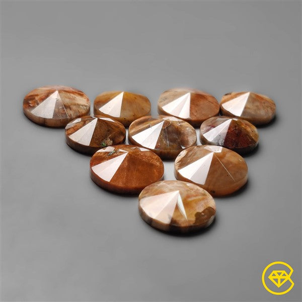 Petrified Wood | Radial Cut Petrified Wood Arizona Lot (14 - 12 mm ...