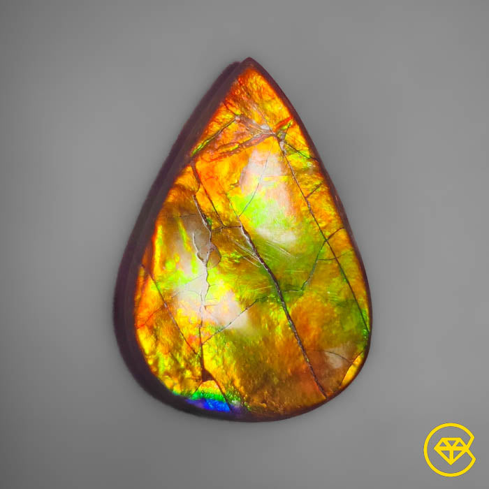 Buy Rare Large Ammolite N26791 Online at CabochonsForSale – Gemstones ...