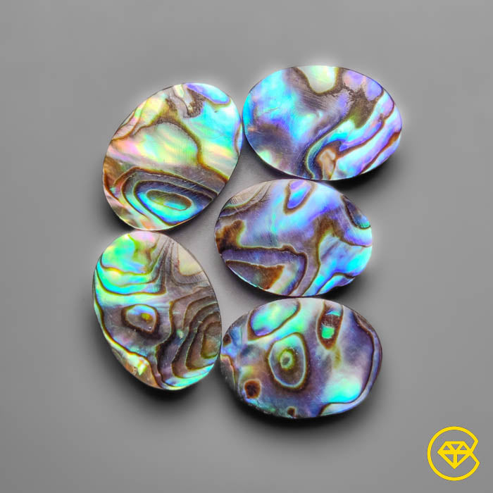 Buy 57 ct Oval Abalone Shells Lot (backed) 18 - 13 mm From New Zealand ...