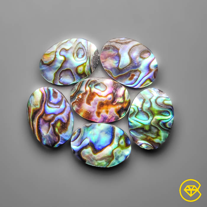 Buy 66 ct Oval Abalone Shells Lot (backed) 18 - 13 mm From New Zealand ...