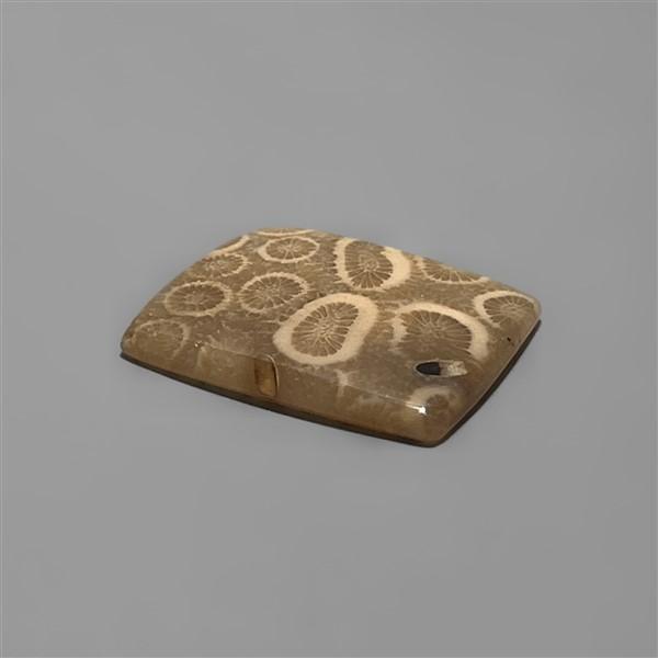 Fossil Coral | Fossil Coral (25X21X3) | Gemstones For Sale